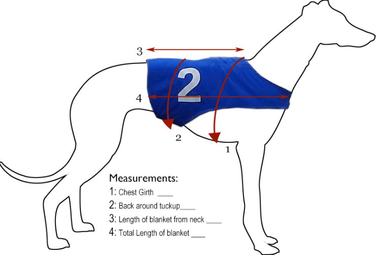 Sizes and Fitting – Intrepid Blankets
